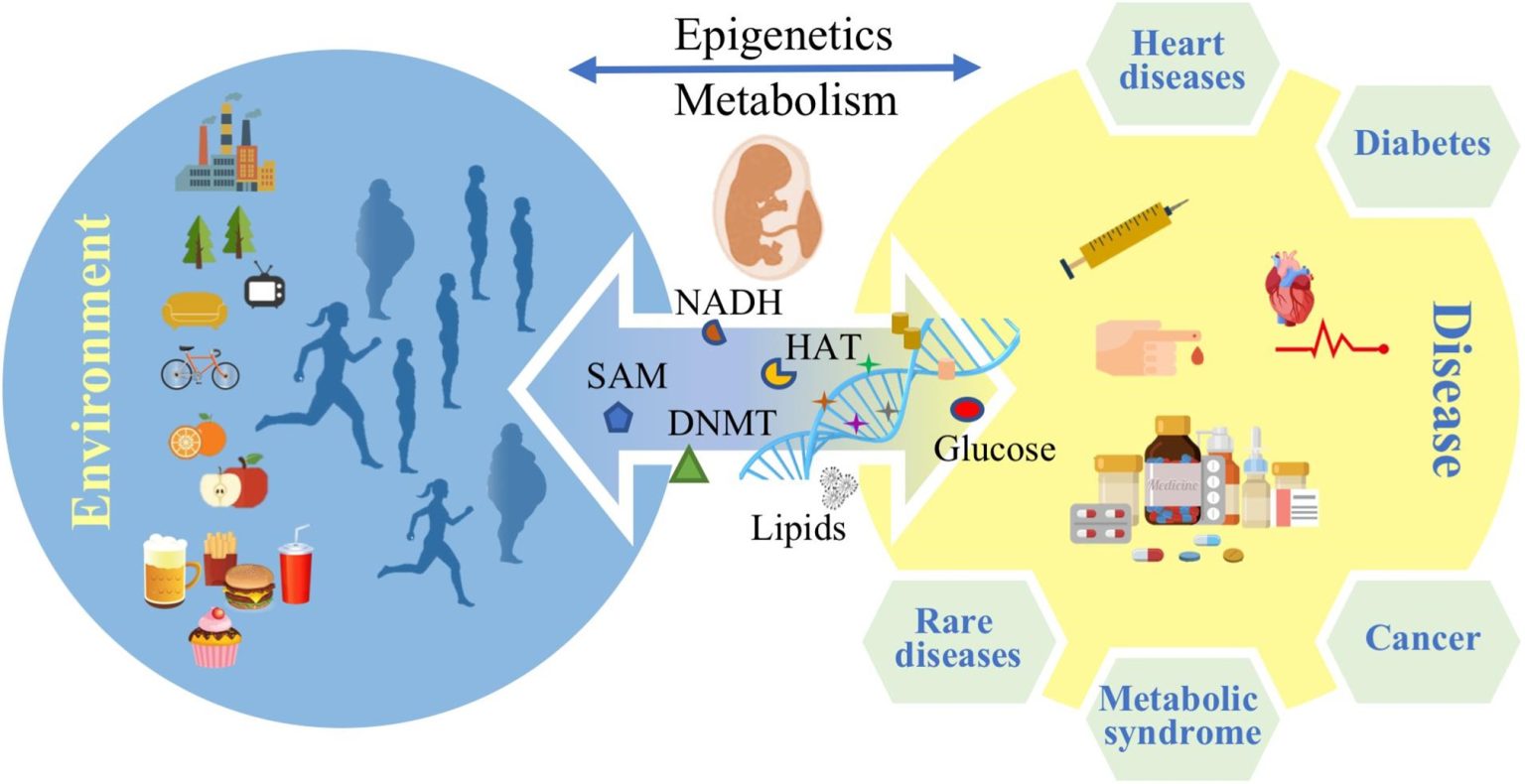 ONO-2020: Can Epigenetics be a New Path in Alzheimer’s Disease Research ...